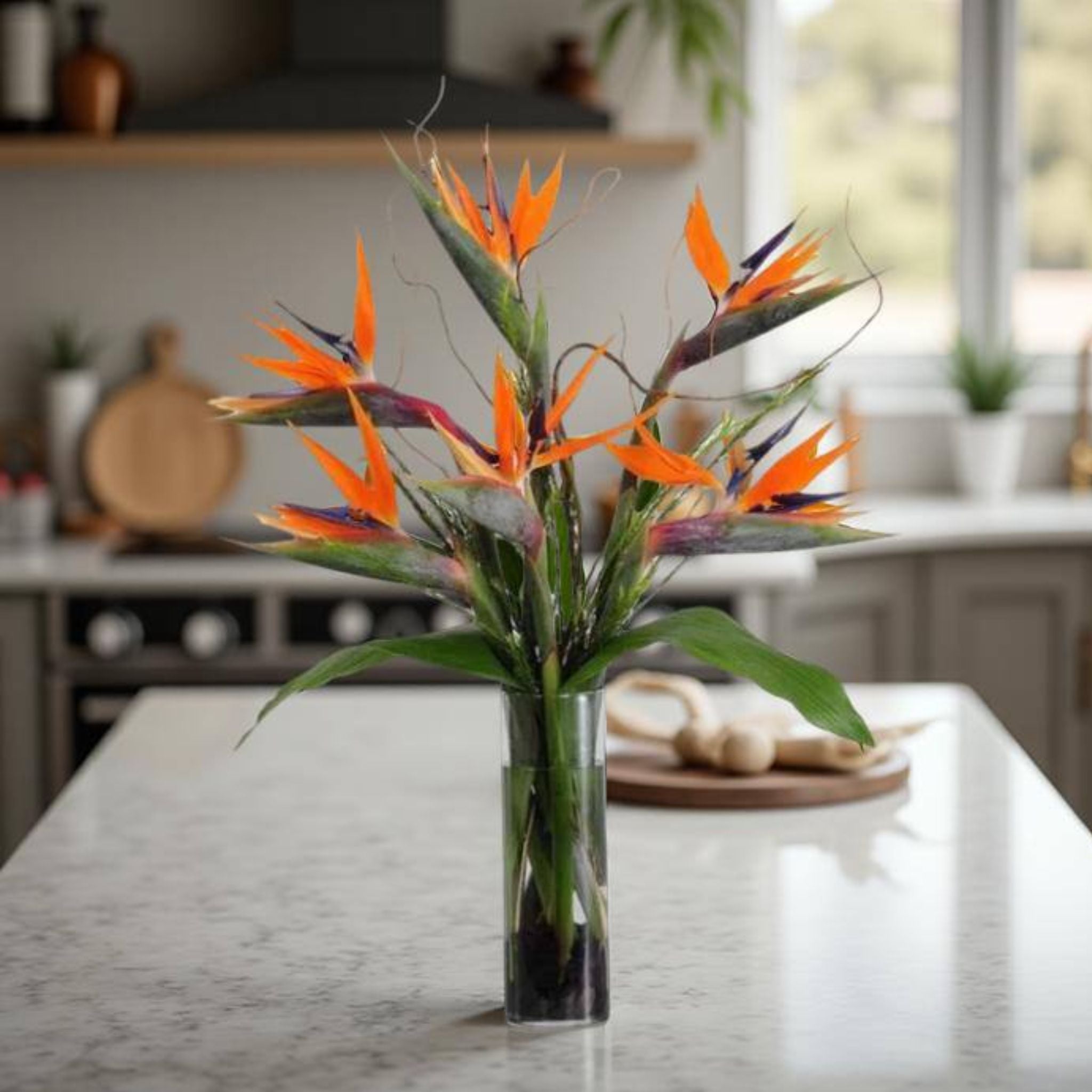 EDEM Tropical Flower Arrangement | Flowers in Vase | Heva Gifts – Heva ...