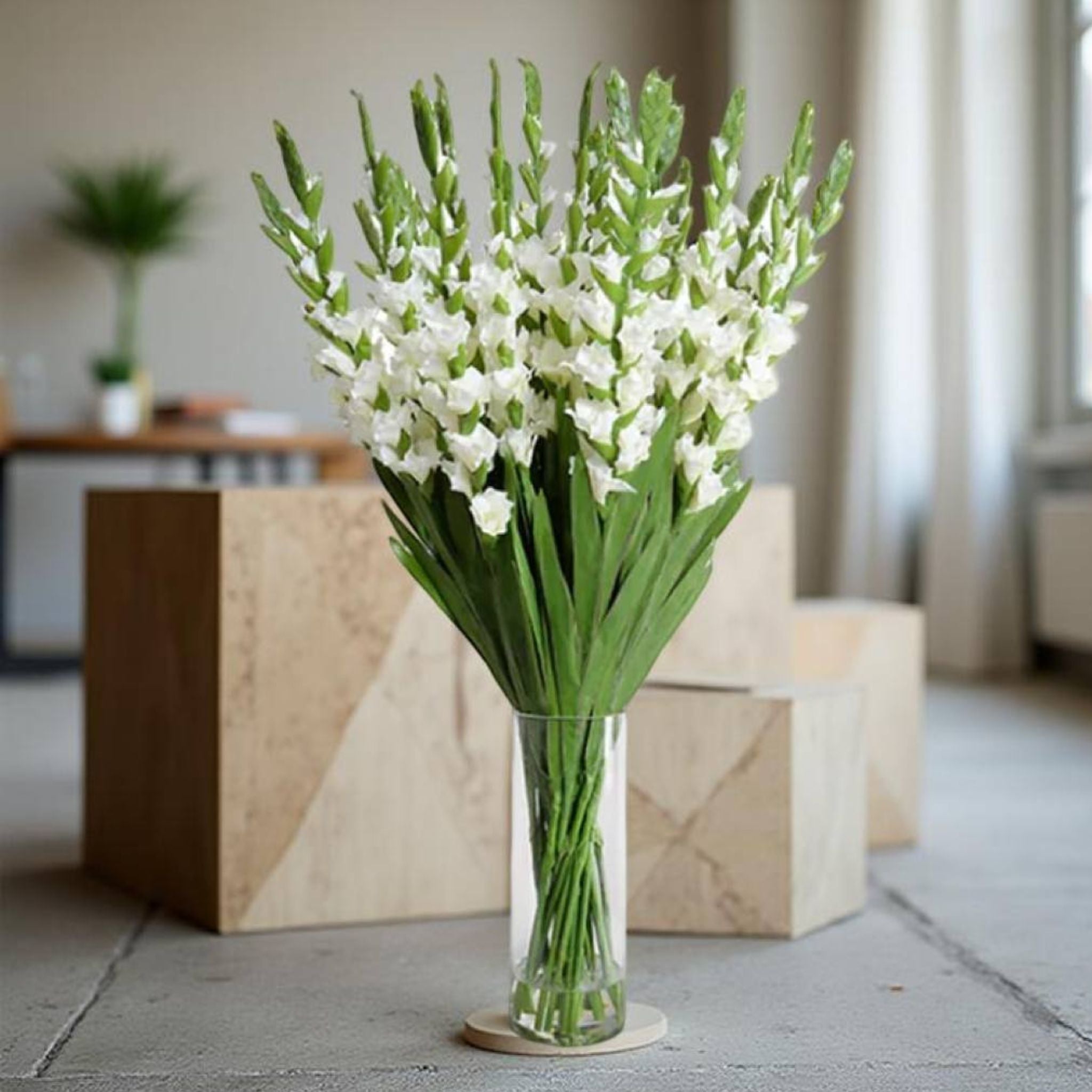 INTEGRITY - WHITE GLADIOLUS FLOWER ARRANGEMENT | Heva Gifts – Heva ...