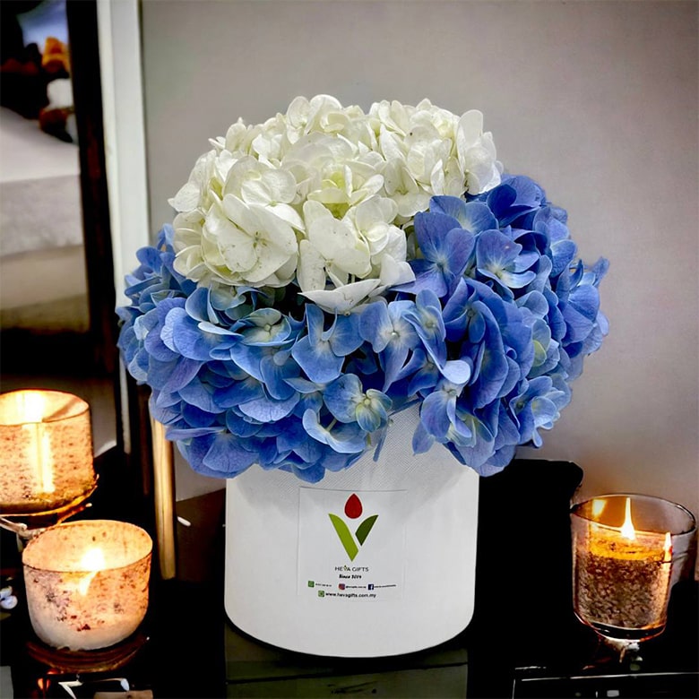 Joanna white and Blue Hydrangea Box | Hydrangea Bouquet | Florist JB ...